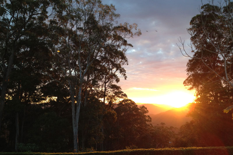 Sunset-at-Mapleton-Falls-Accommodation-3st-Aug-2012- Mapleton Falls ...
